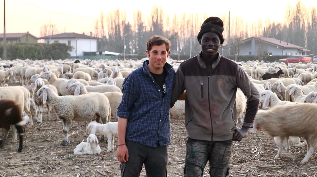 Il pastore del Senegal e il calabrese che scorrazzano in Veneto – Sbetti